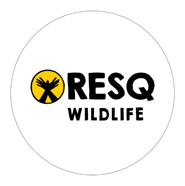 RESQ Charitable Trust - Animal Rescue Pune