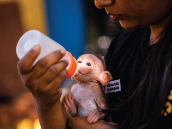 RESQ Charitable Trust - Animal Rescue Pune