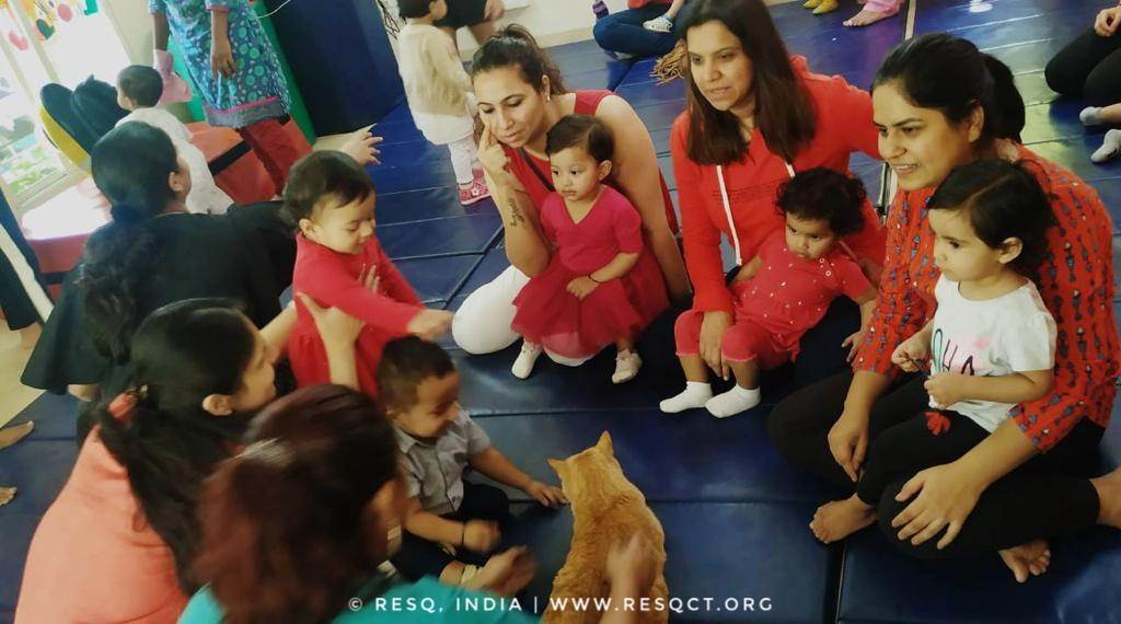 Cultivating Ecological Harmony in Young Minds at the Green Turtle ...