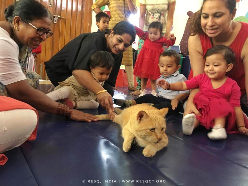 Cultivating Ecological Harmony in Young Minds at the Green Turtle ...