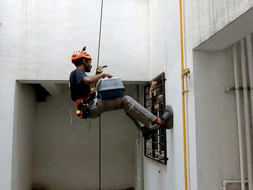 Who is an Animal Rescuer? - RESQ Charitable Trust