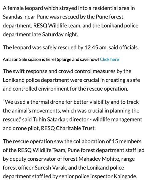 Female leopard rescued near Pune - RESQ Charitable Trust